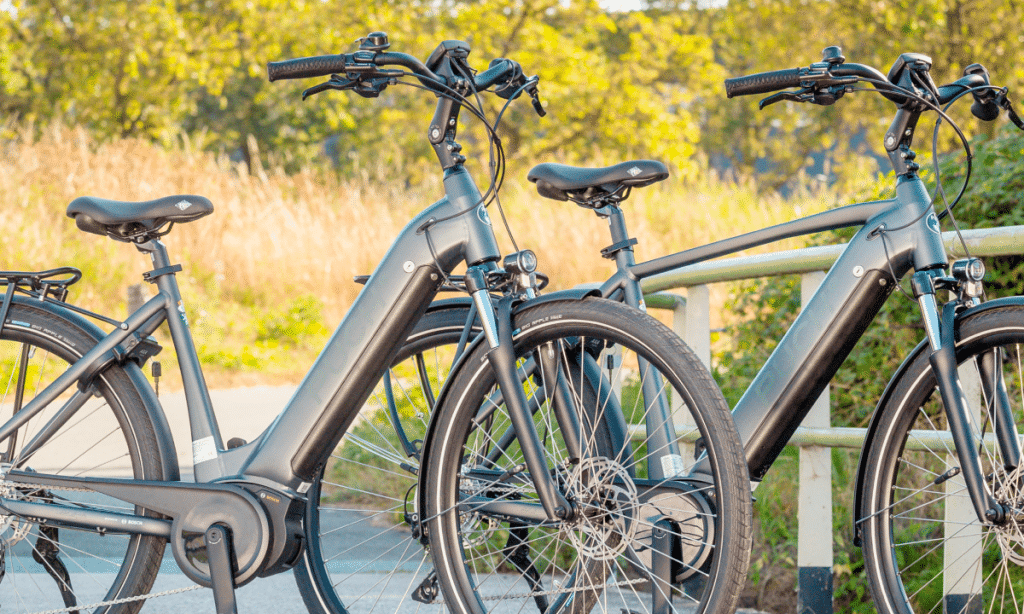 Voordelen van een elektrische fiets | Alle info | Profibike.nl